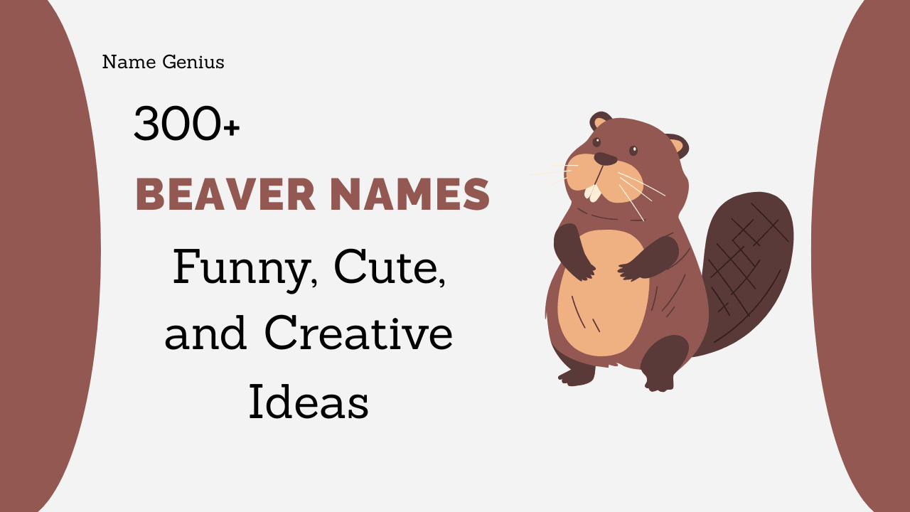 300+ Beaver Names: Cute, Funny, And Angry Ideas