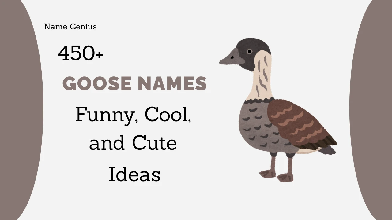 400+ Goose Names: Funny, Cool, and Cute Ideas