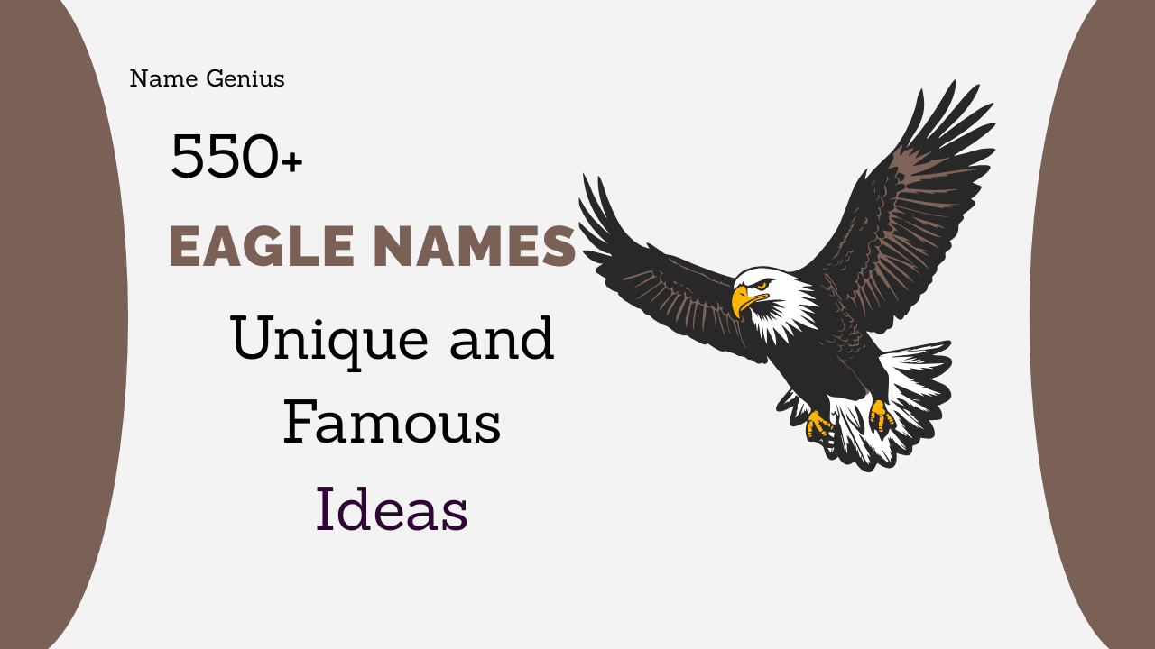 550+ Eagle Names Unique and Famous Ideas