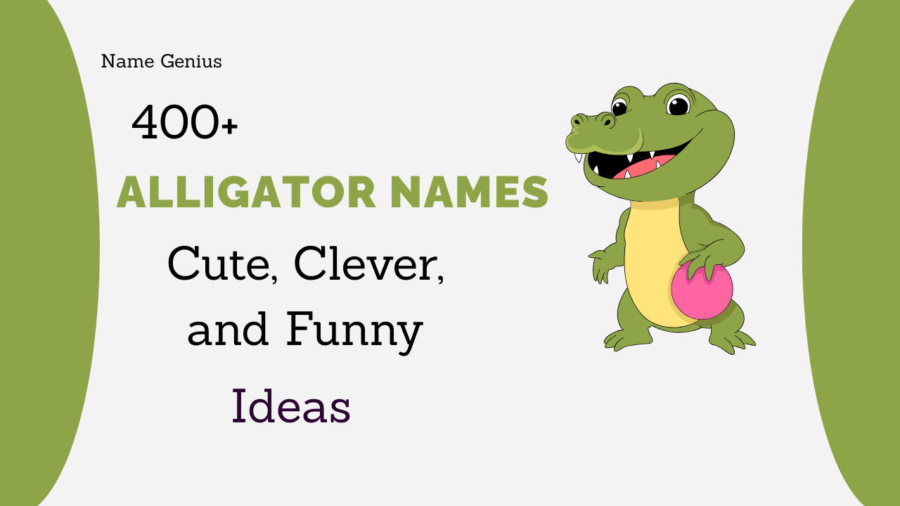 400+ Awesome Alligator Names: Cute, Clever, And Funny Ideas
