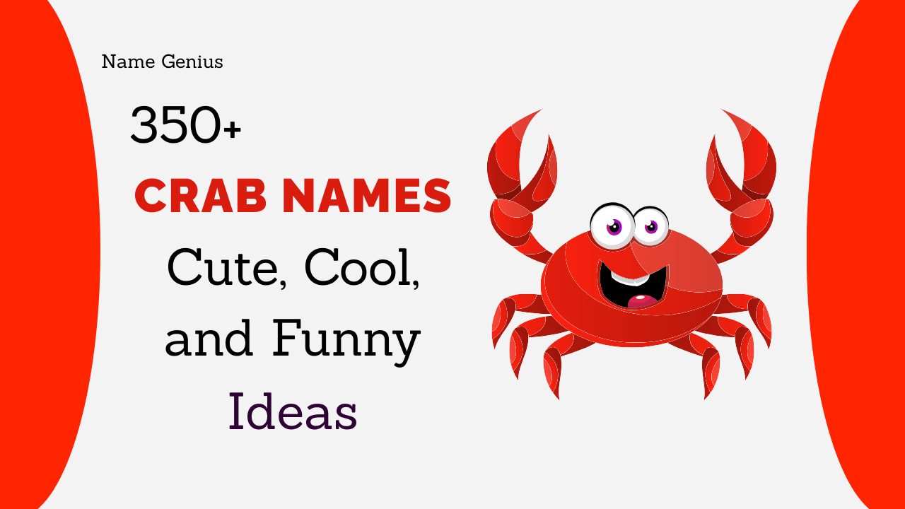 350+ Best Crab Names: Cute, Cool, and Funny