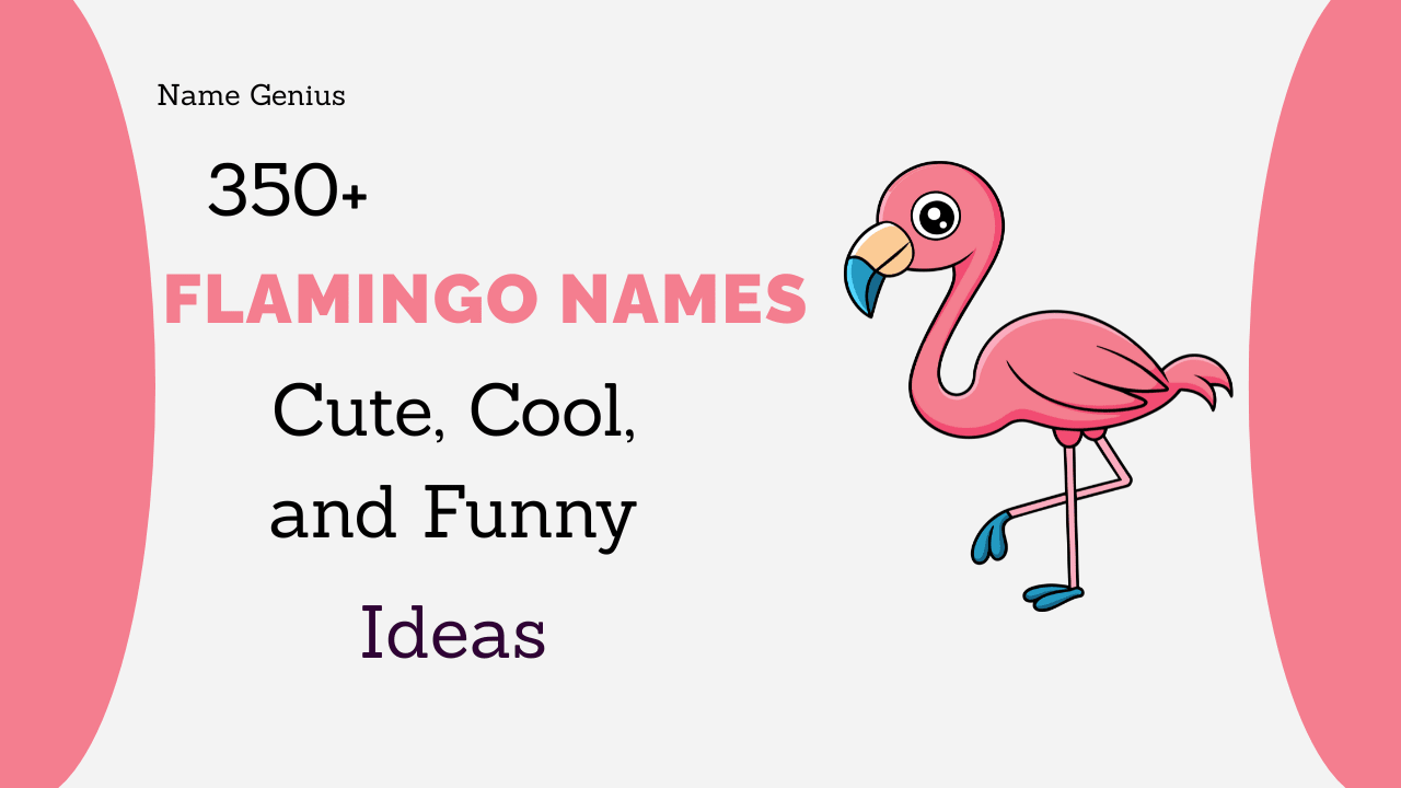 350+ Flamingo Names Cute, Funny, and Awesome Ideas