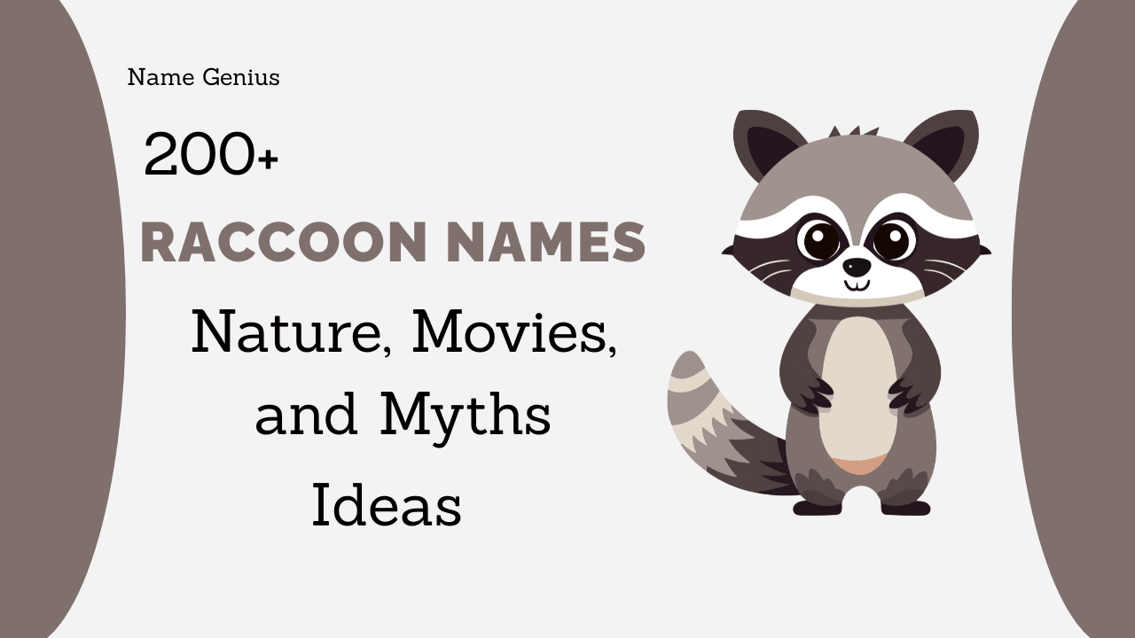 200+ Best Raccoon Names From Nature, Movies, and Myths