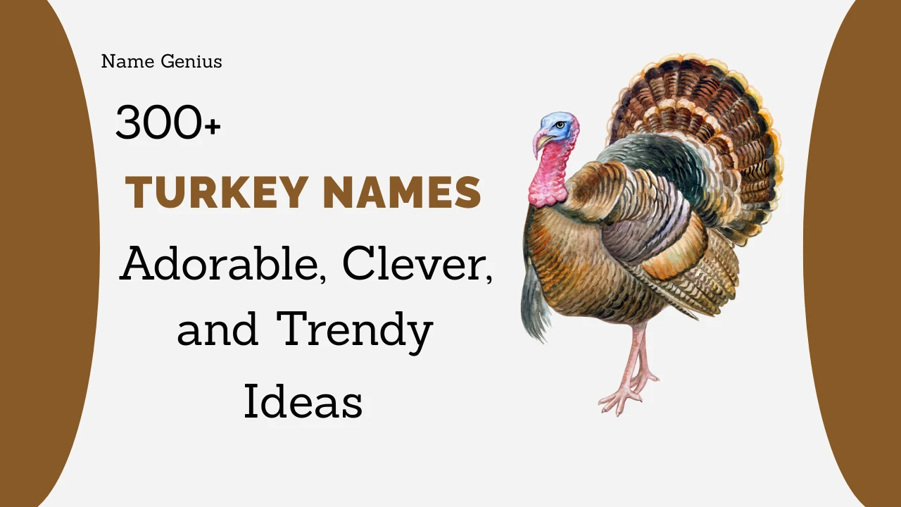 300+ Turkey Names: Adorable, Clever, and Trendy Ideas