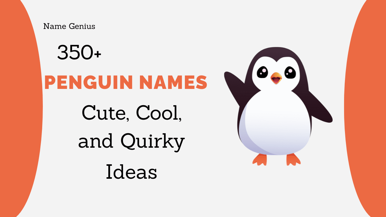 350+ Penguin Names: Cute, Cool, and Quirky Ideas