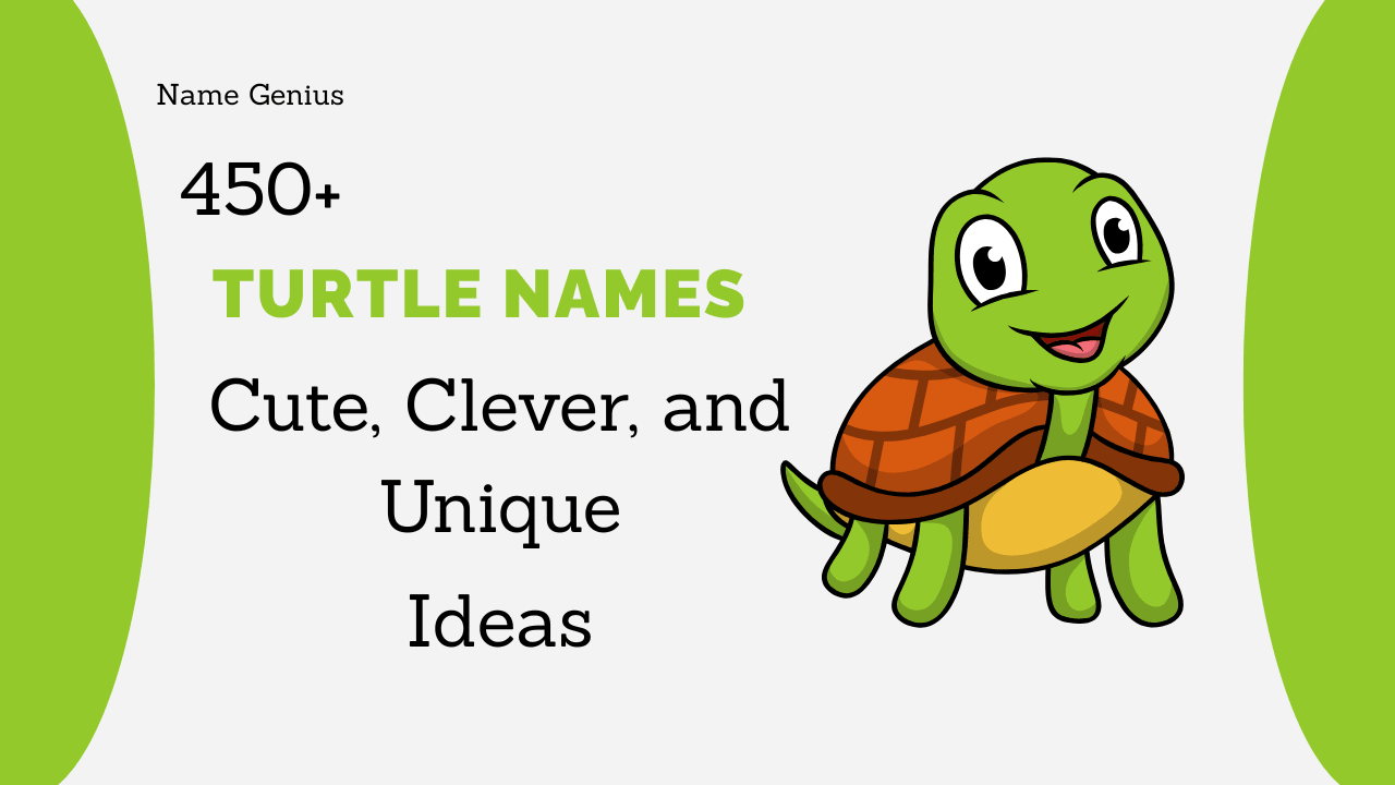 450+ Turtle Names: Cute, Clever, and Unique Ideas