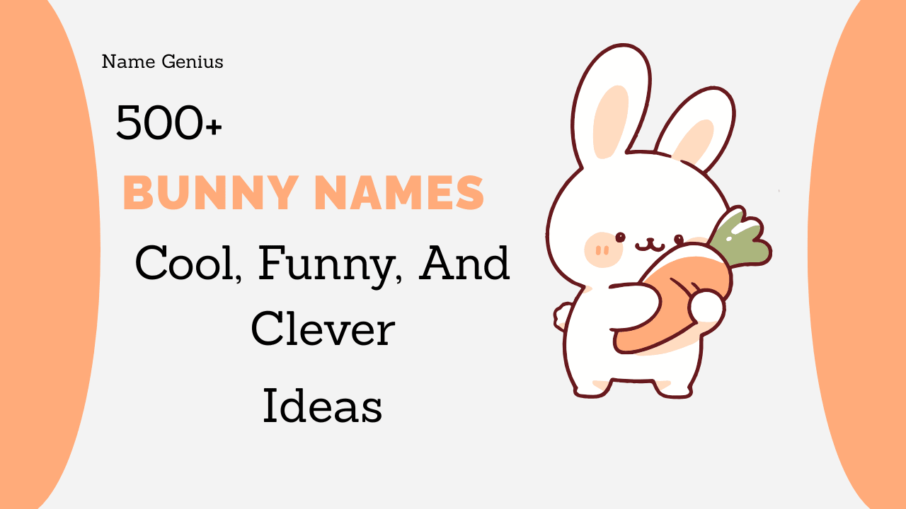 500+ Bunny Names: Cool, Funny, And Clever Ideas