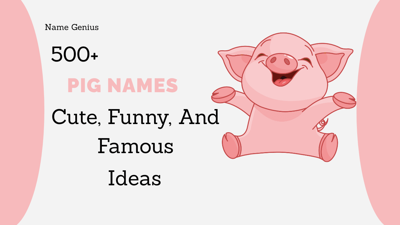 500+ Pig Names: Cute, Funny, And Famous Ideas