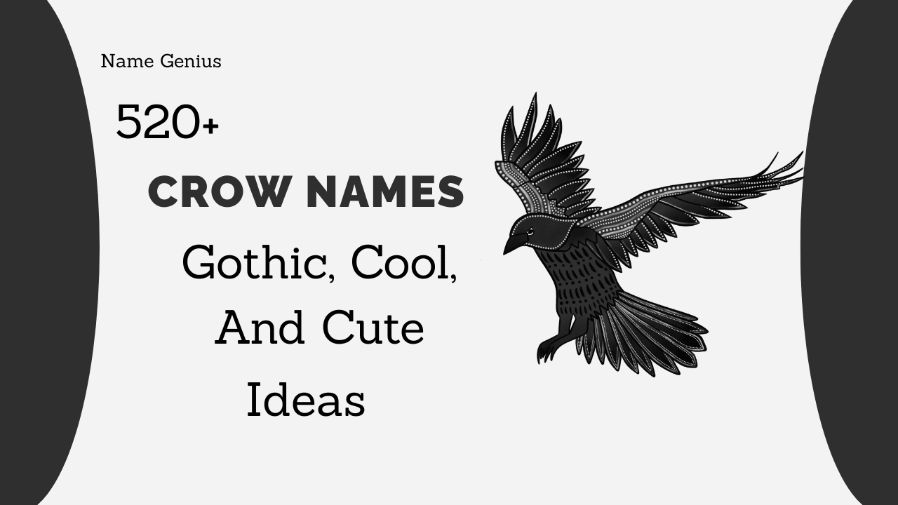 520+ Crow Names: Gothic, Cool, And Cute Ideas