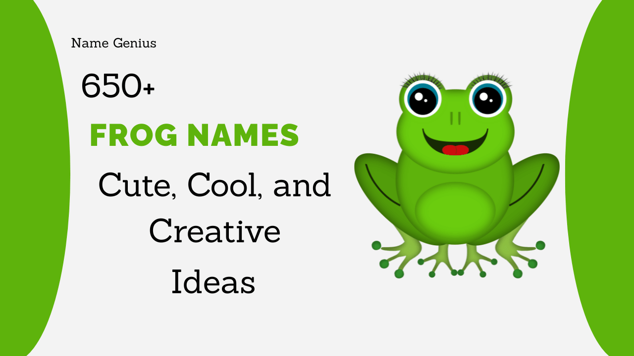 650+ Frog Names: Cute, Cool, and Creative Ideas