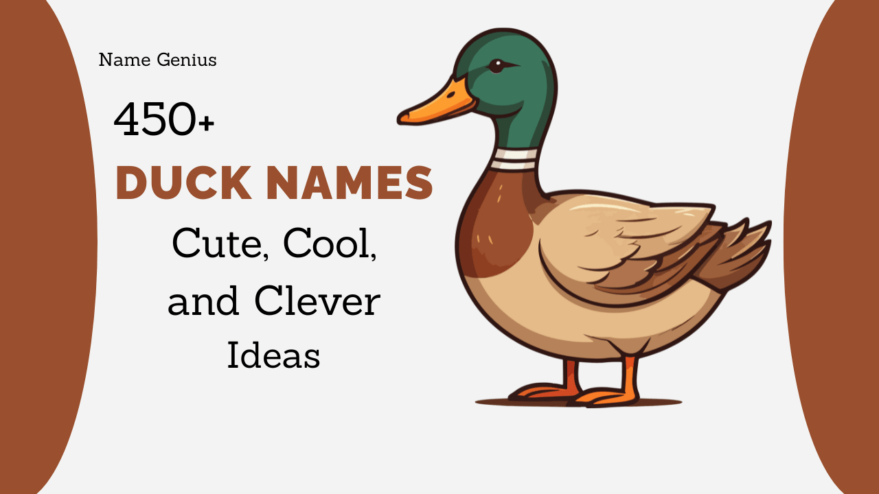 450+ Duck Names: Cute, Cool, and Clever Ideas