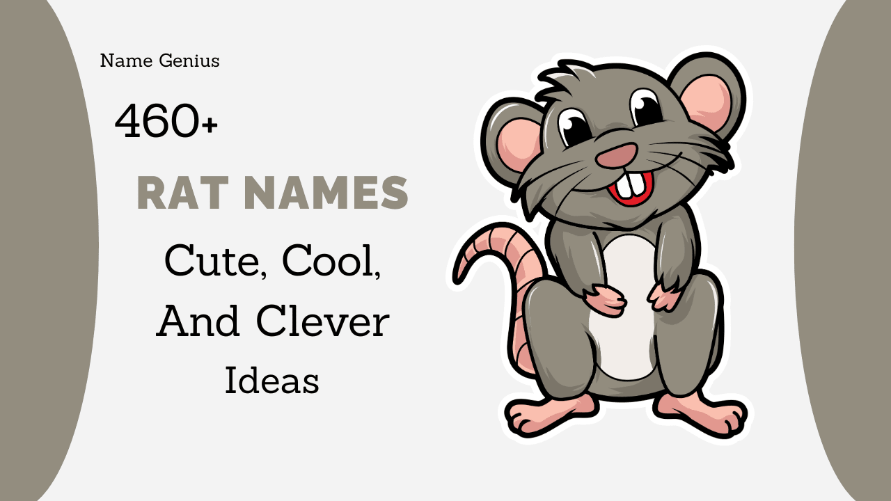 460+ Rat Names: Cute, Cool, And Clever Ideas