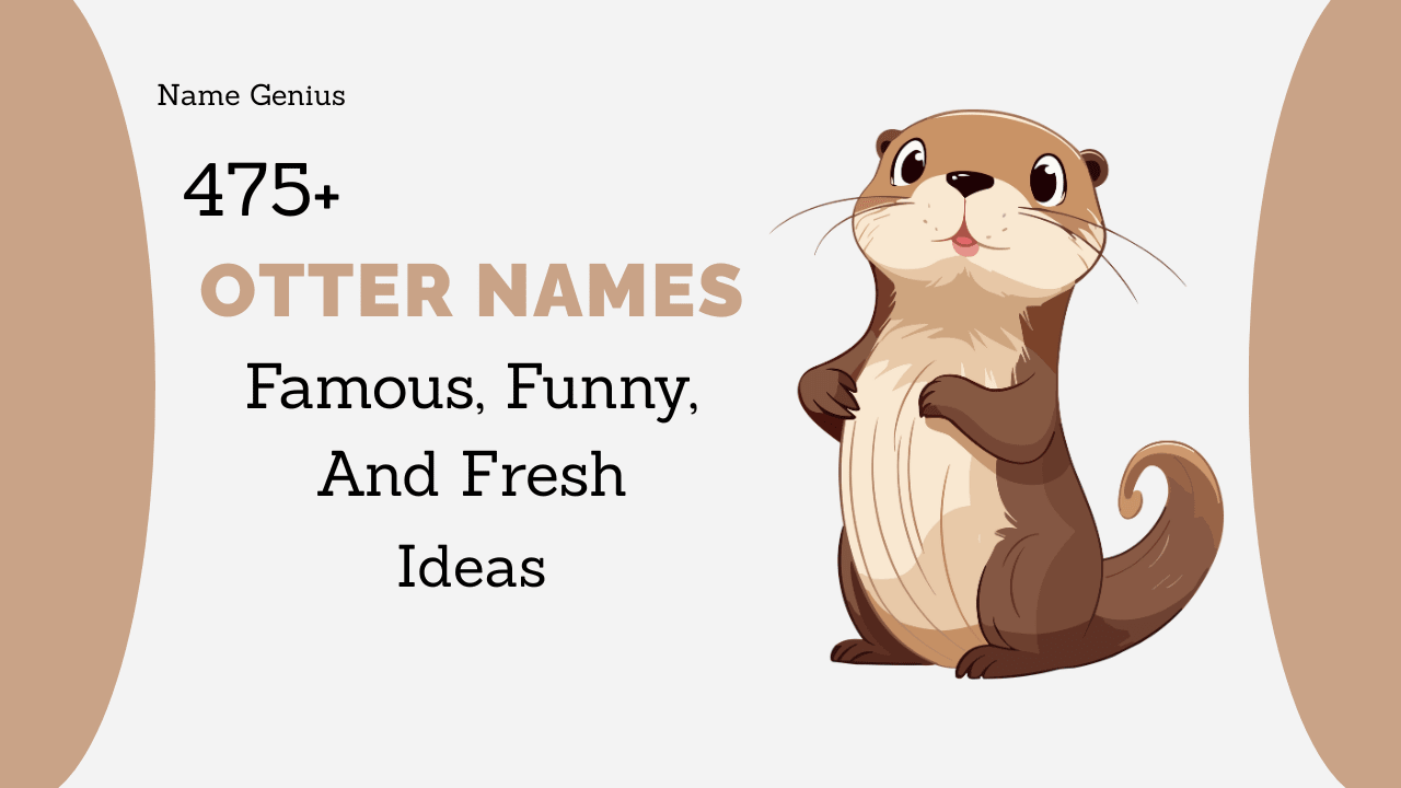 475+ Otter Names: Famous, Funny, And Fresh Ideas