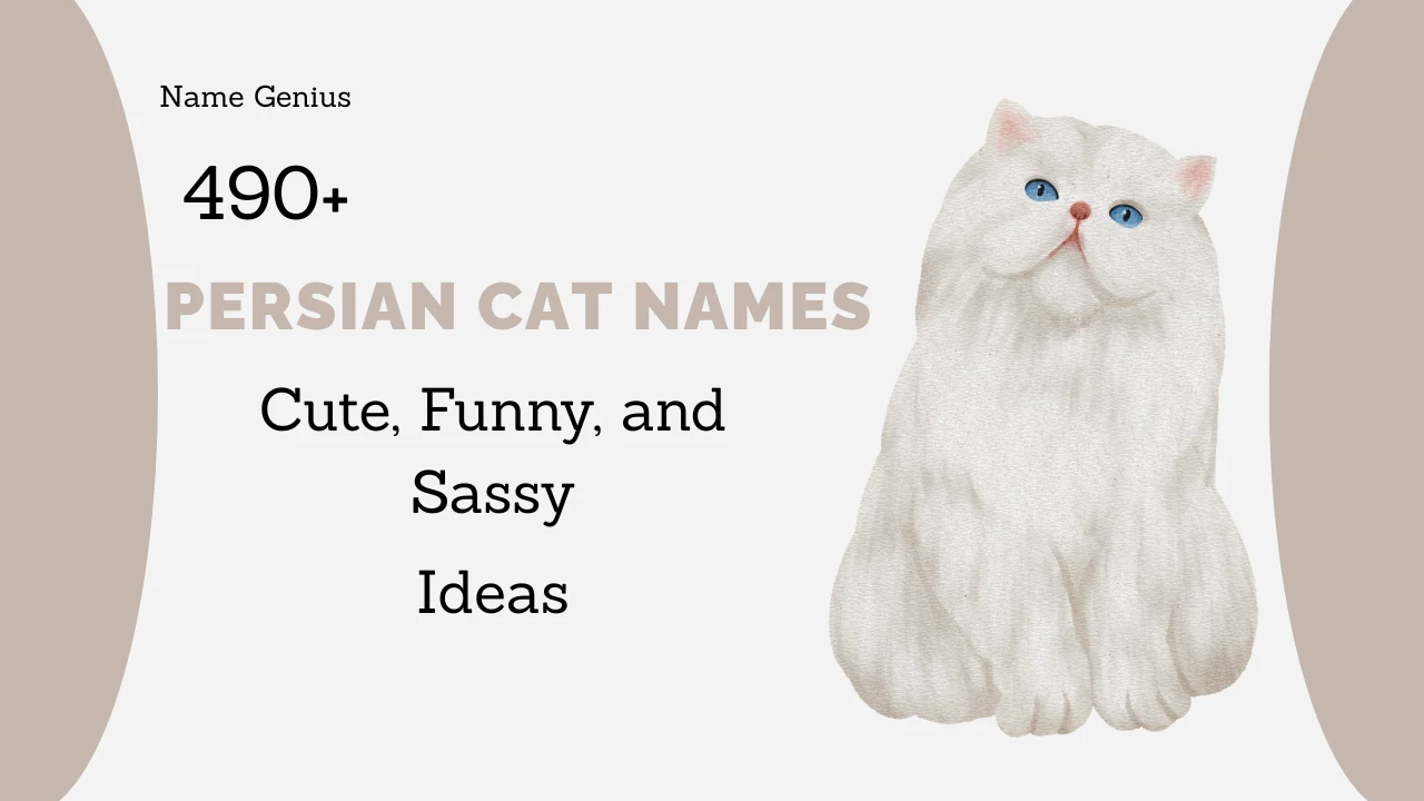 490+ Persian Cat Names: Cute, Funny, and Sassy Ideas