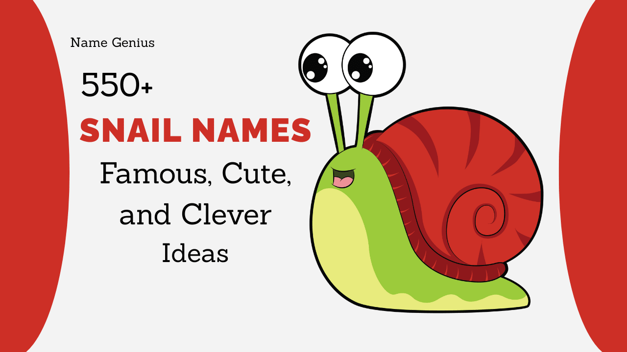 550+ Snail Names: Famous, Cute, and Clever Ideas