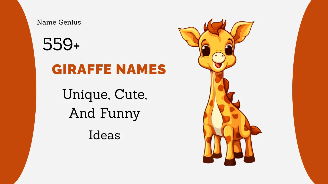 559+ Giraffe Names: Unique, Cute, And Funny Ideas