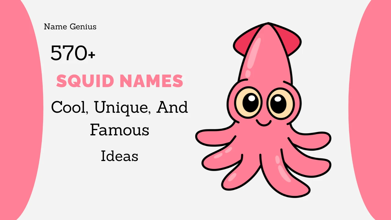 570+ Squid Names: Cool, Unique, And Famous Ideas
