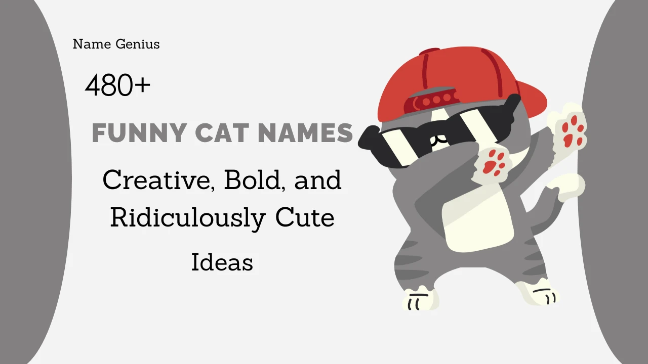 480+ Funny Cat Names: Creative, Bold, and Ridiculously Cute Ideas