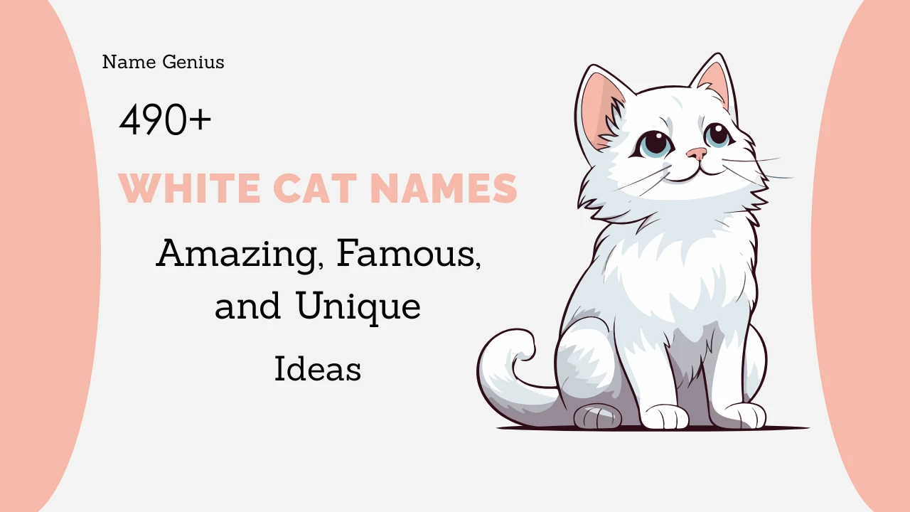 490+ White Cat Names: Amazing, Famous, and Unique Ideas