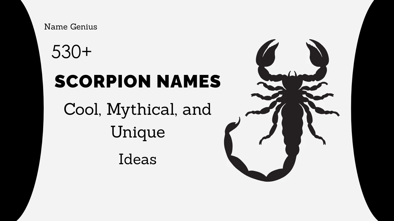 530+ Scorpion Names: Cool, Mythical, and Unique Ideas