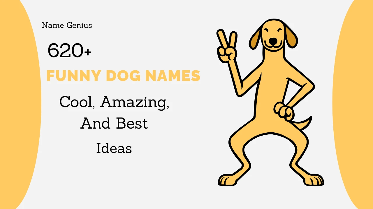 620+ Hilarious and Funny Dog Names That Will Make You Laugh