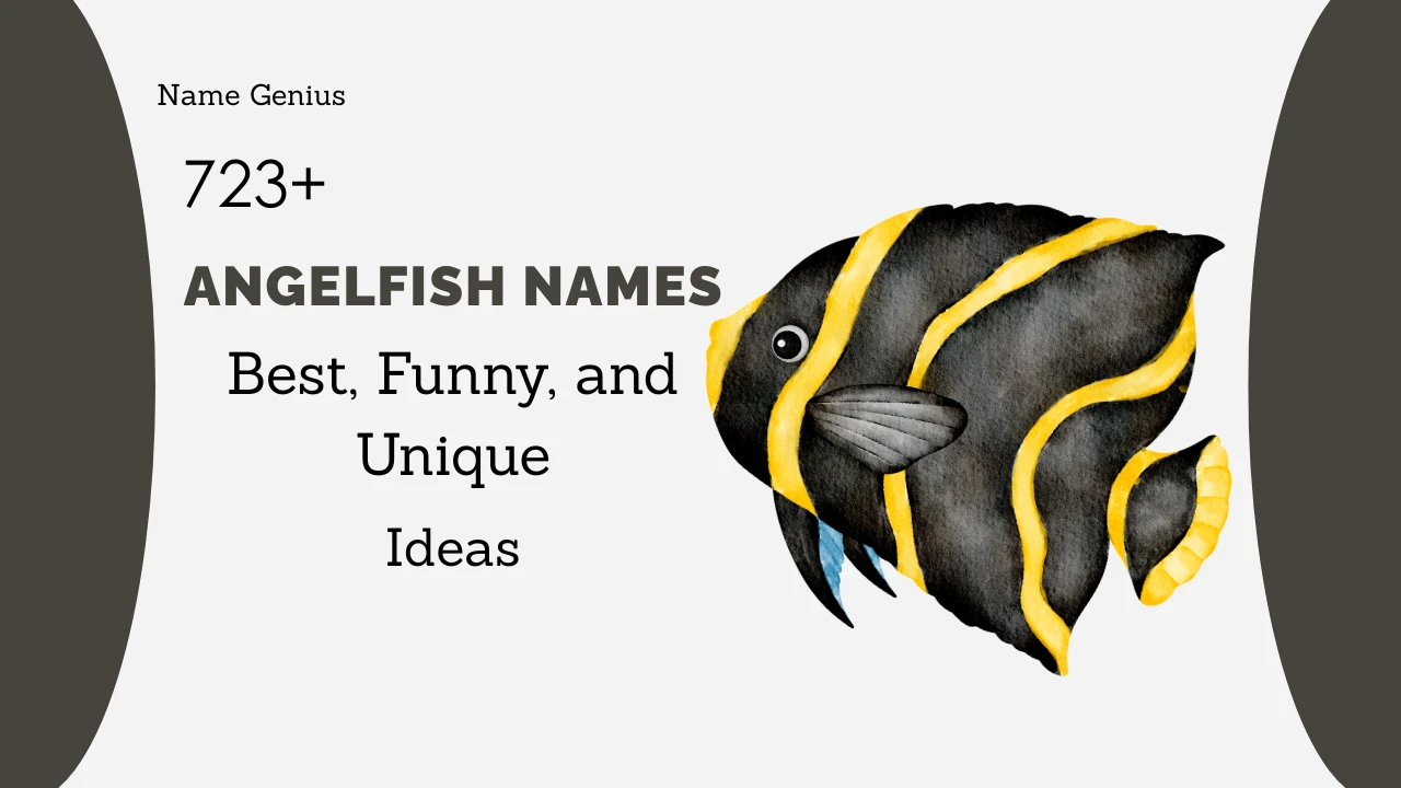 723+ Angelfish Names: Best, Funny, and Unique Ideas