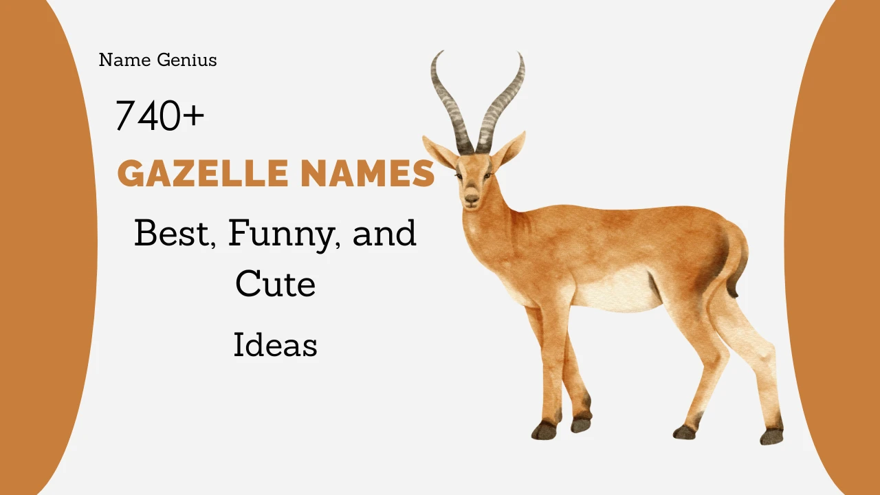 740+ Gazelle Names: Best, Funny, and Cute Ideas