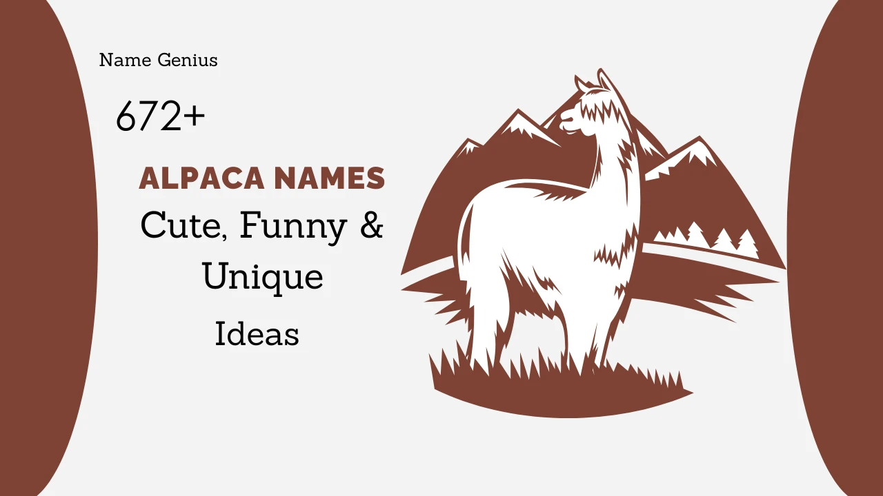 672+ Alpaca Names: Cute, Funny & Unique Ideas for Pet Lovers