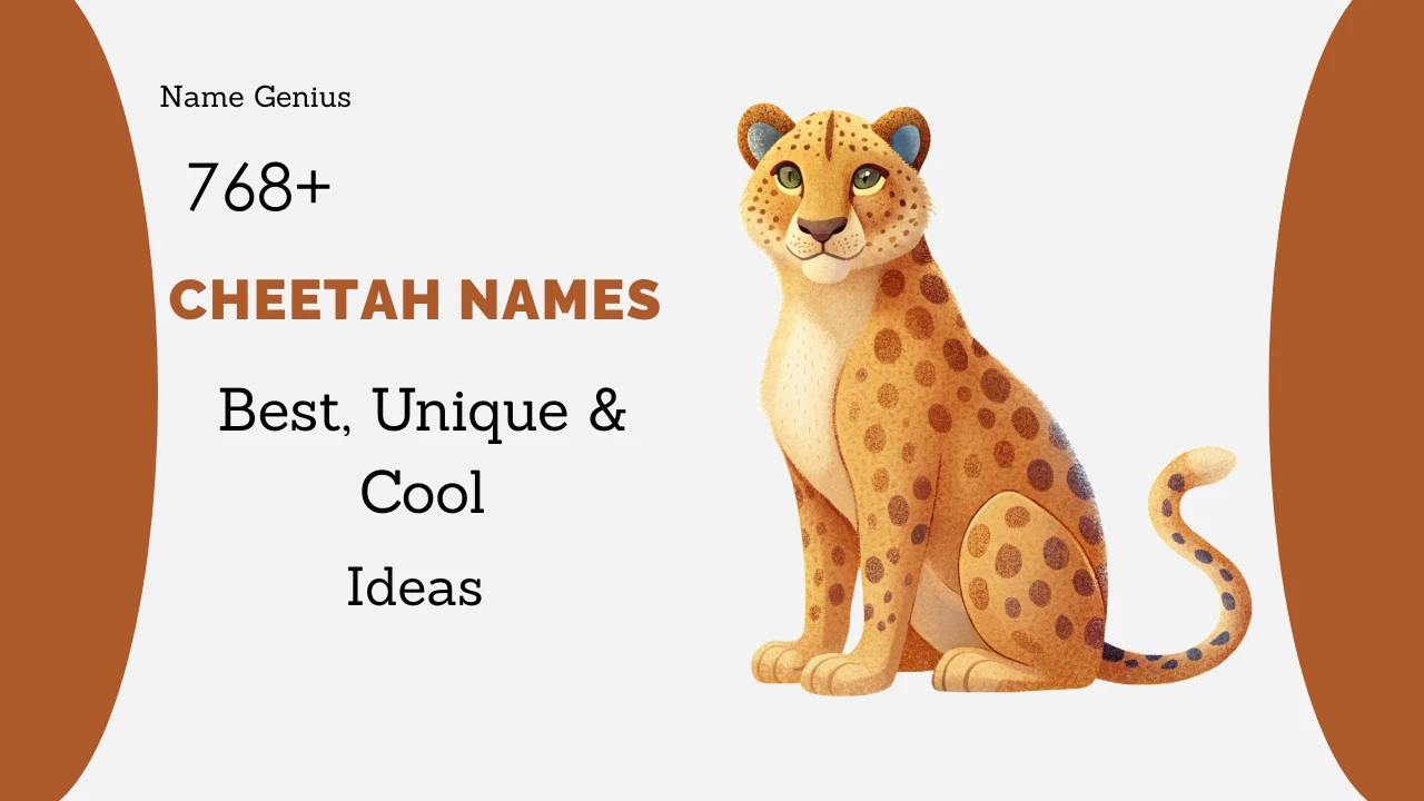 768+ Cheetah Names: Best, Unique & Cool Ideas for Wild Cat Lovers