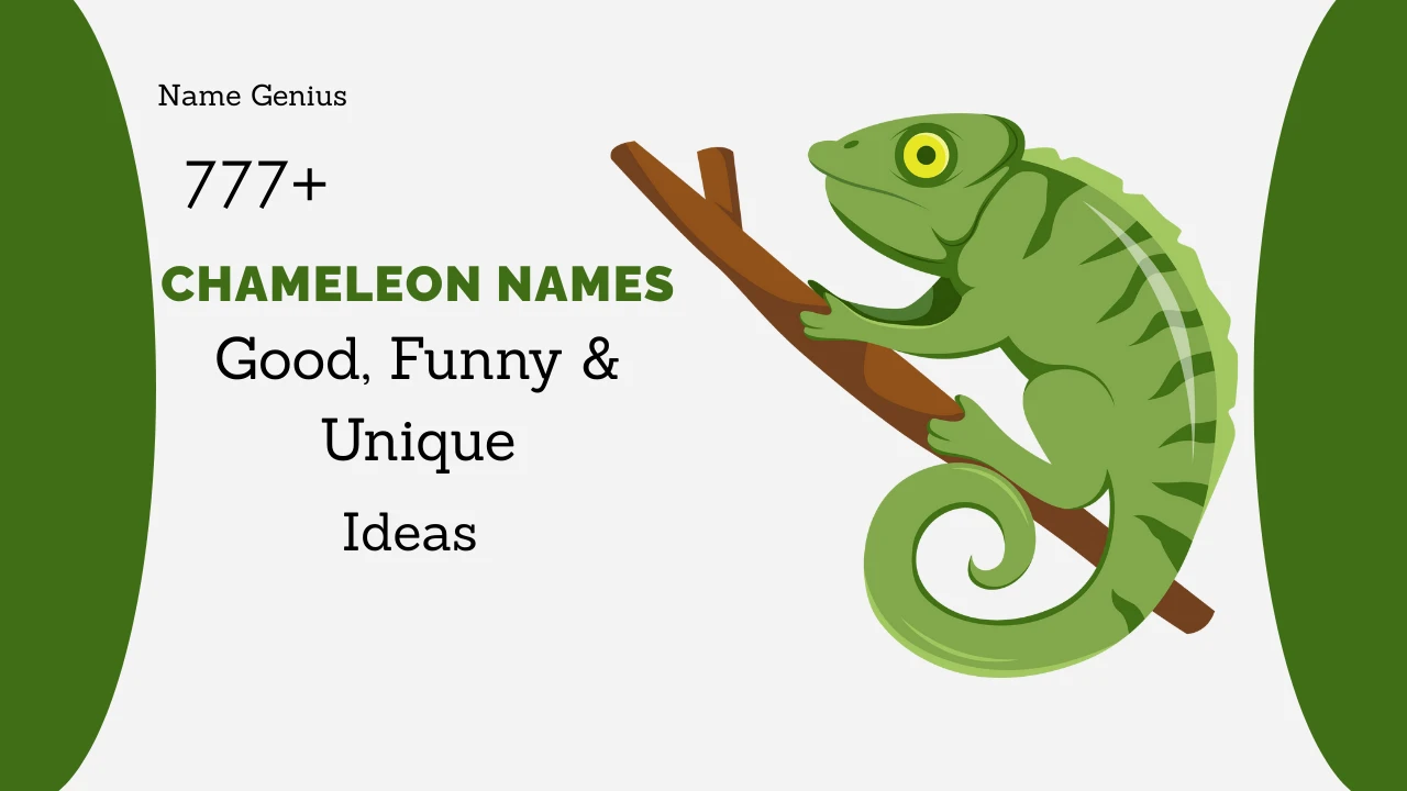 777+ Chameleon Names: Good, Funny & Unique Ideas for Reptile Lovers